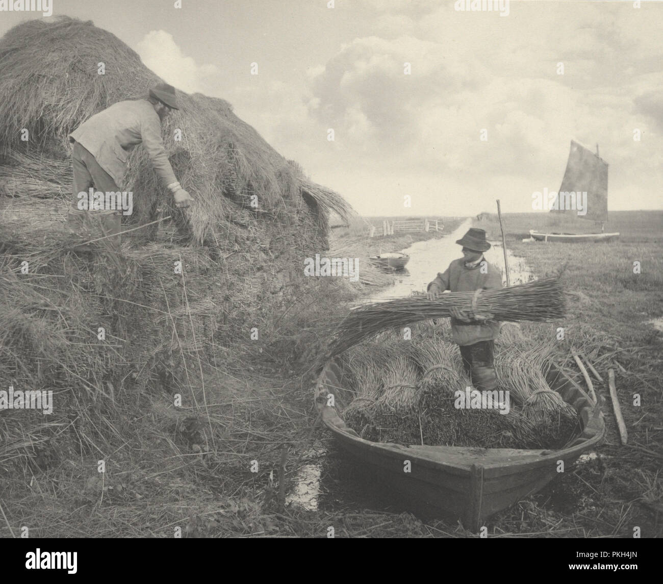 Reaping hook hi-res stock photography and images - Alamy