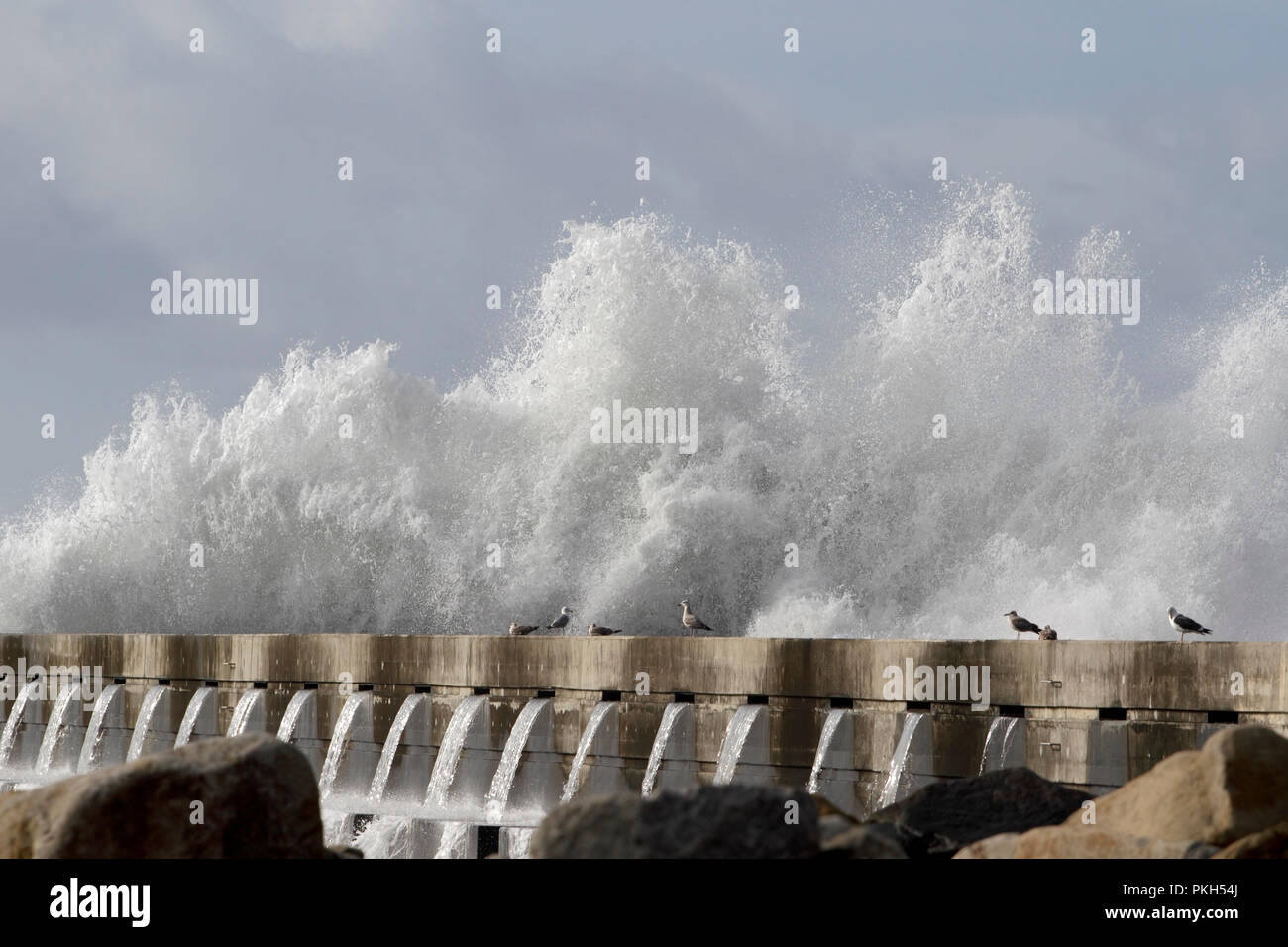 Detailed big stormy sea wave splash Stock Photo - Alamy