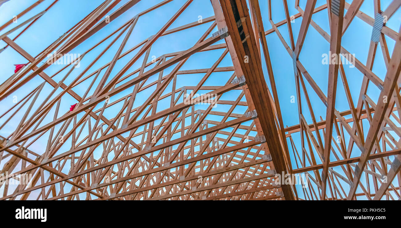 Looking up at new wood beams of building pano Stock Photo - Alamy