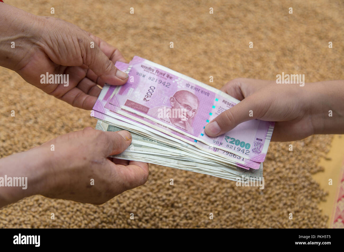 Hand exchanging currency india hi-res stock photography and images - Alamy