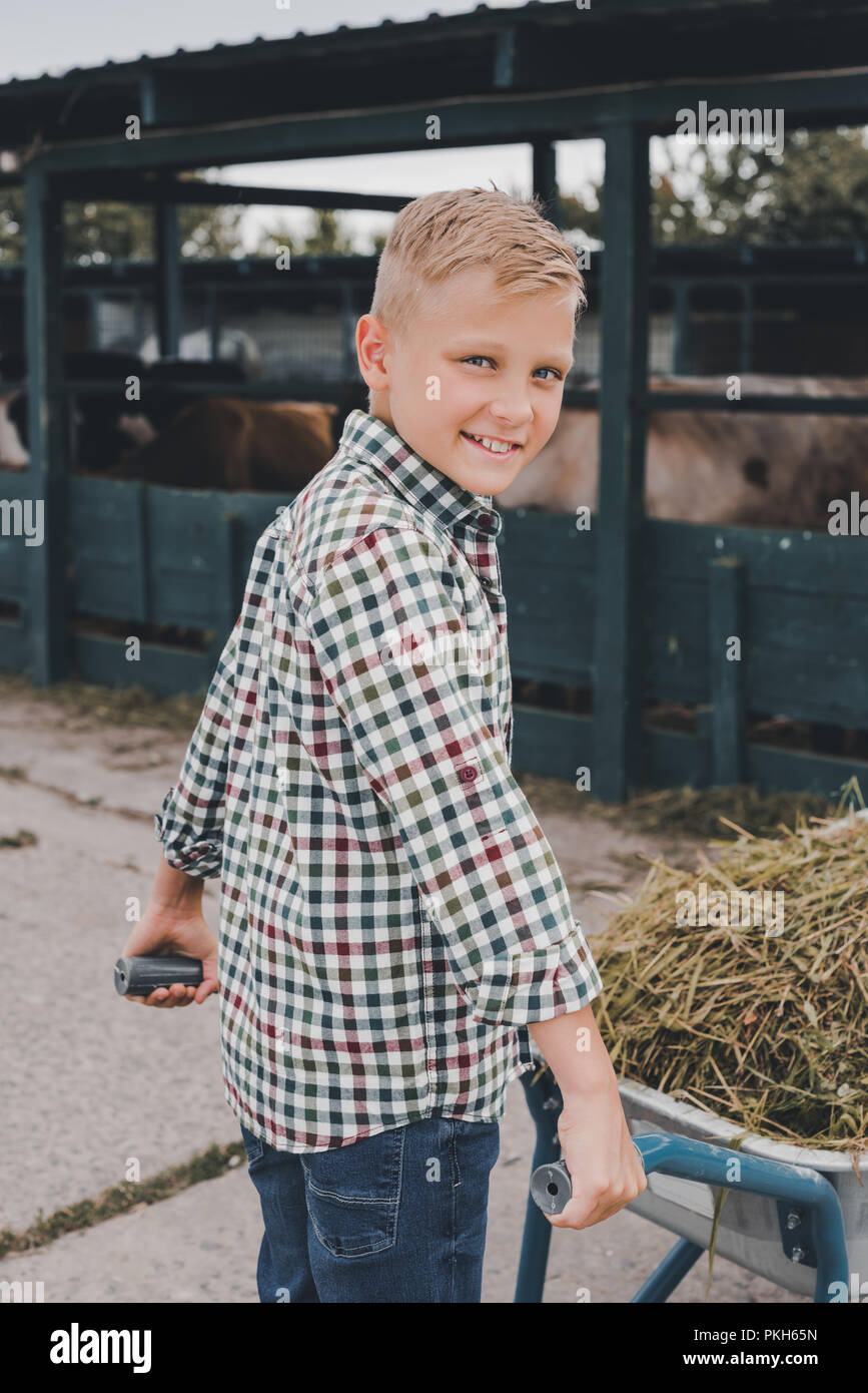 happy boy pushing wheelbarrow with grass and smiling at camera in ...