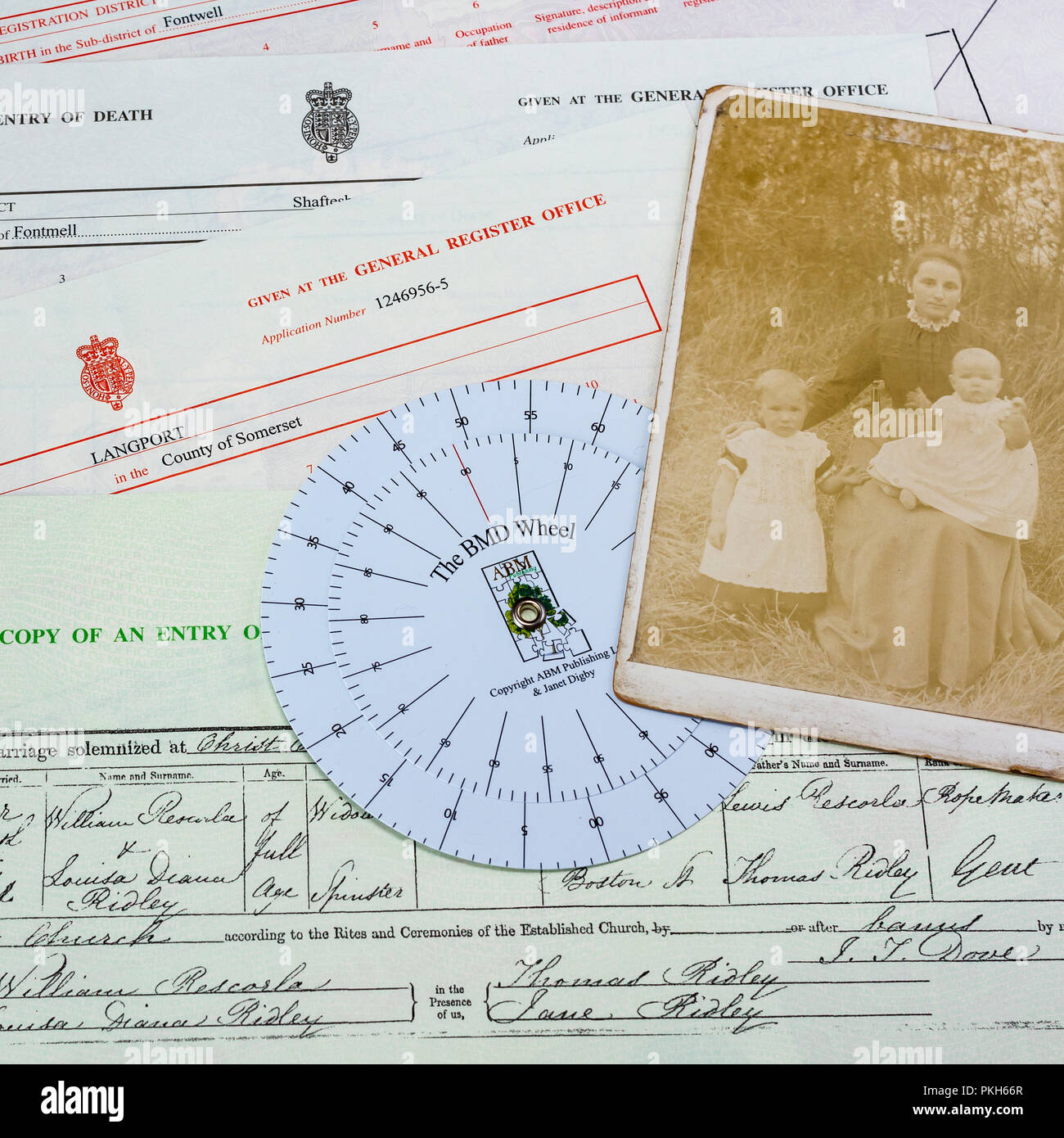 Family tree ancestry hi-res stock photography and images - Alamy