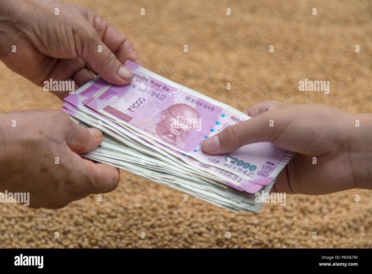Hand Giving Indian 500 and 2000 Rupee Bank Notes over wheat background ...