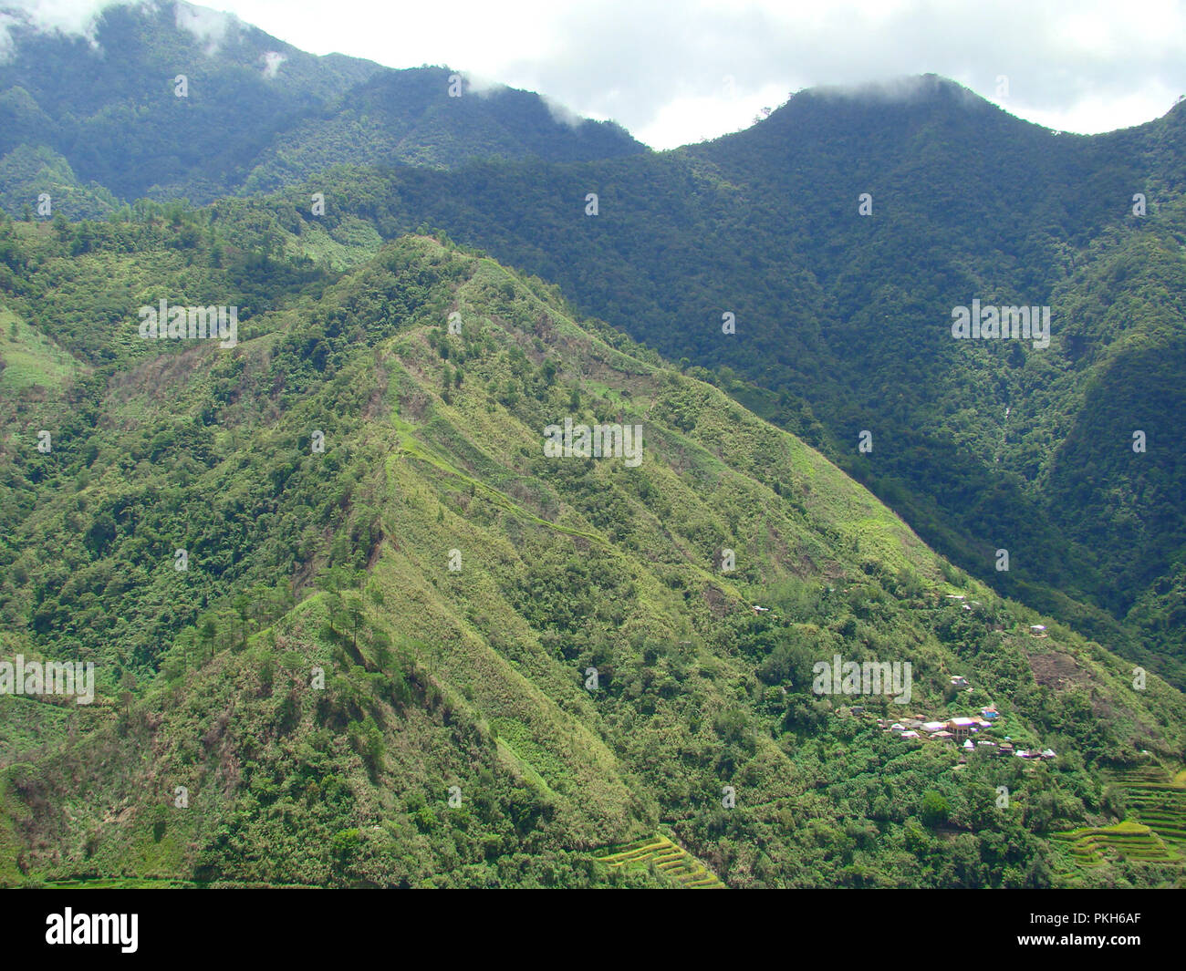 Biocarbon hi-res stock photography and images - Alamy