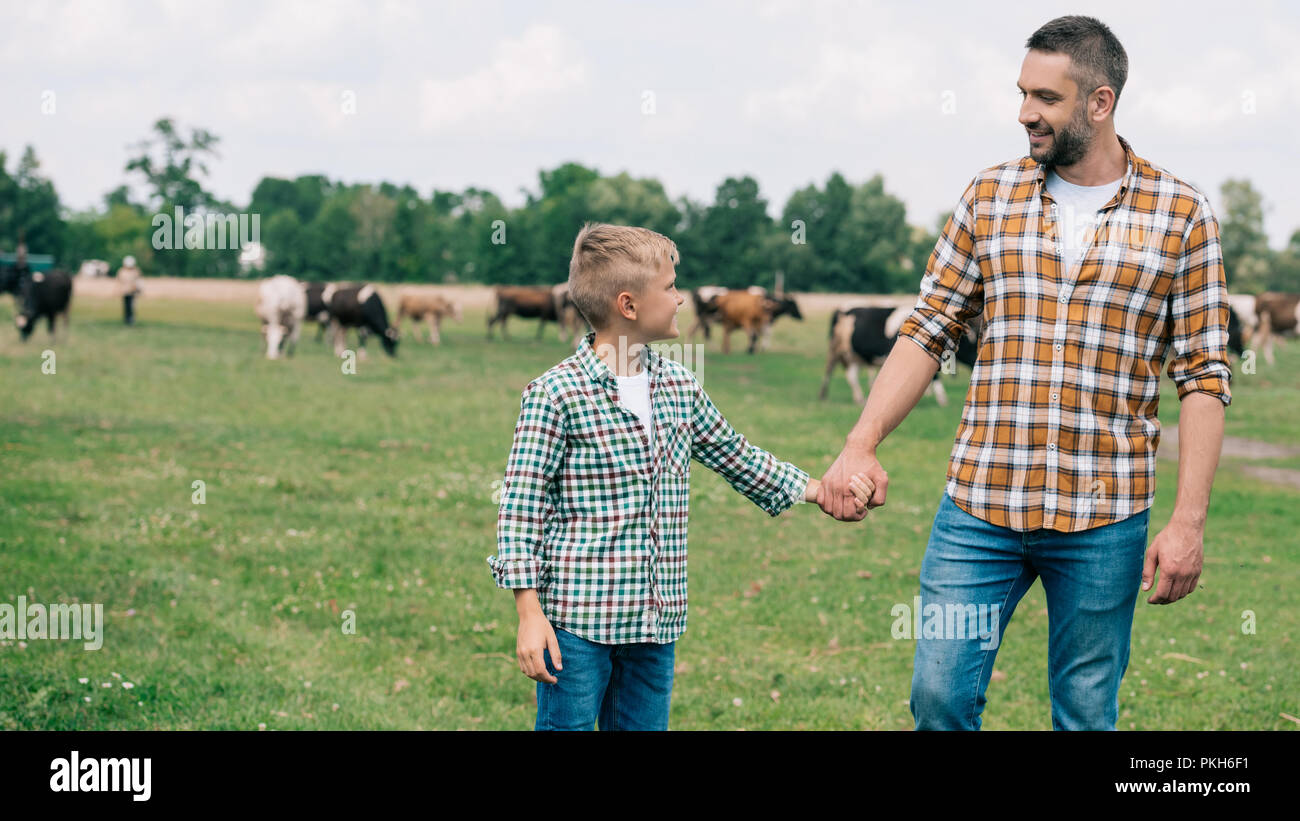 Child working agriculture field cows hi-res stock photography and ...