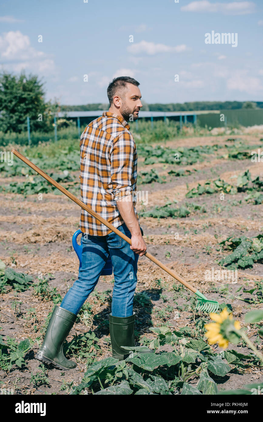 Farmer with rake on field hi-res stock photography and images - Alamy