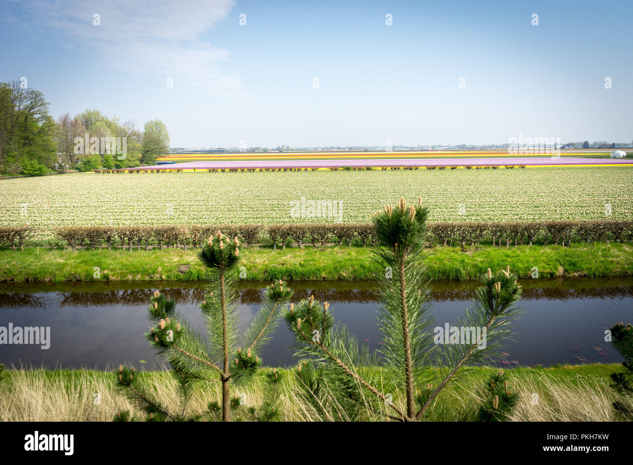 Netherlands,Lisse,Europe, a pond next to a body of water Stock Photo ...