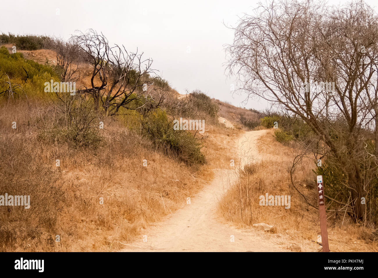 Trail road in a rural area Stock Photo - Alamy