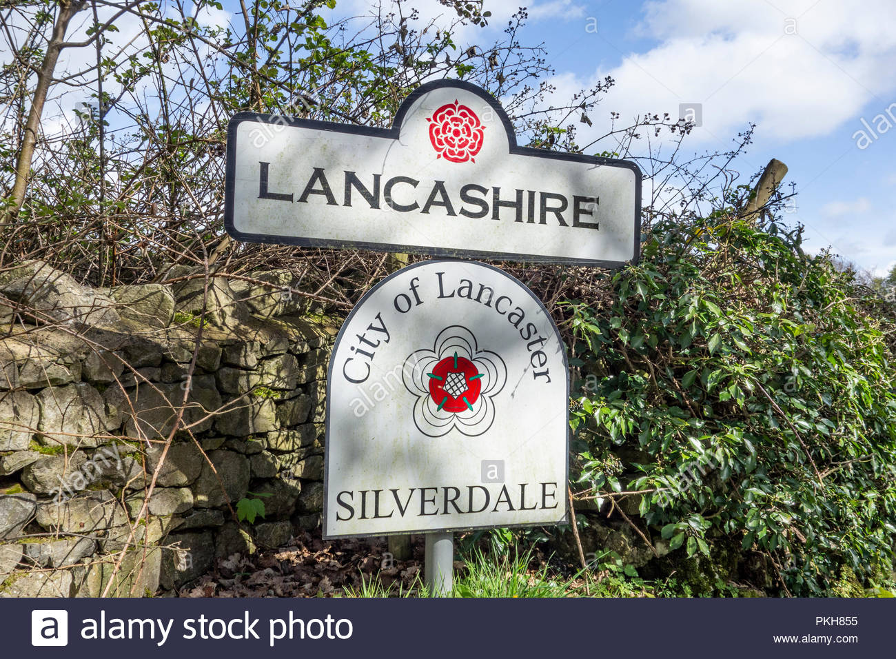 Lancashire Rose High Resolution Stock Photography and Images - Alamy