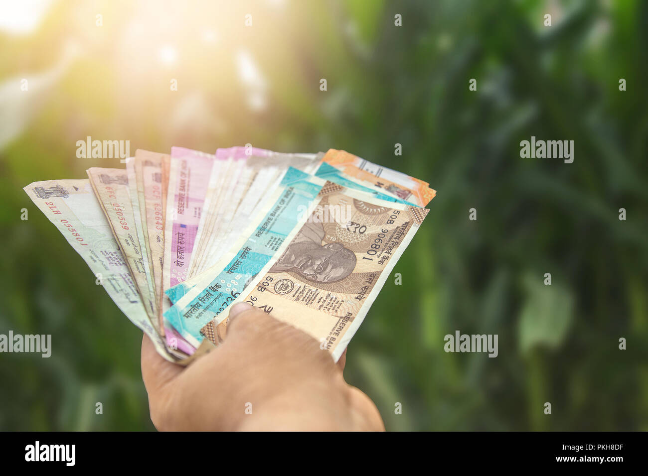 Indian Rupees in hand. Indian multiple currency note held in hand Stock ...