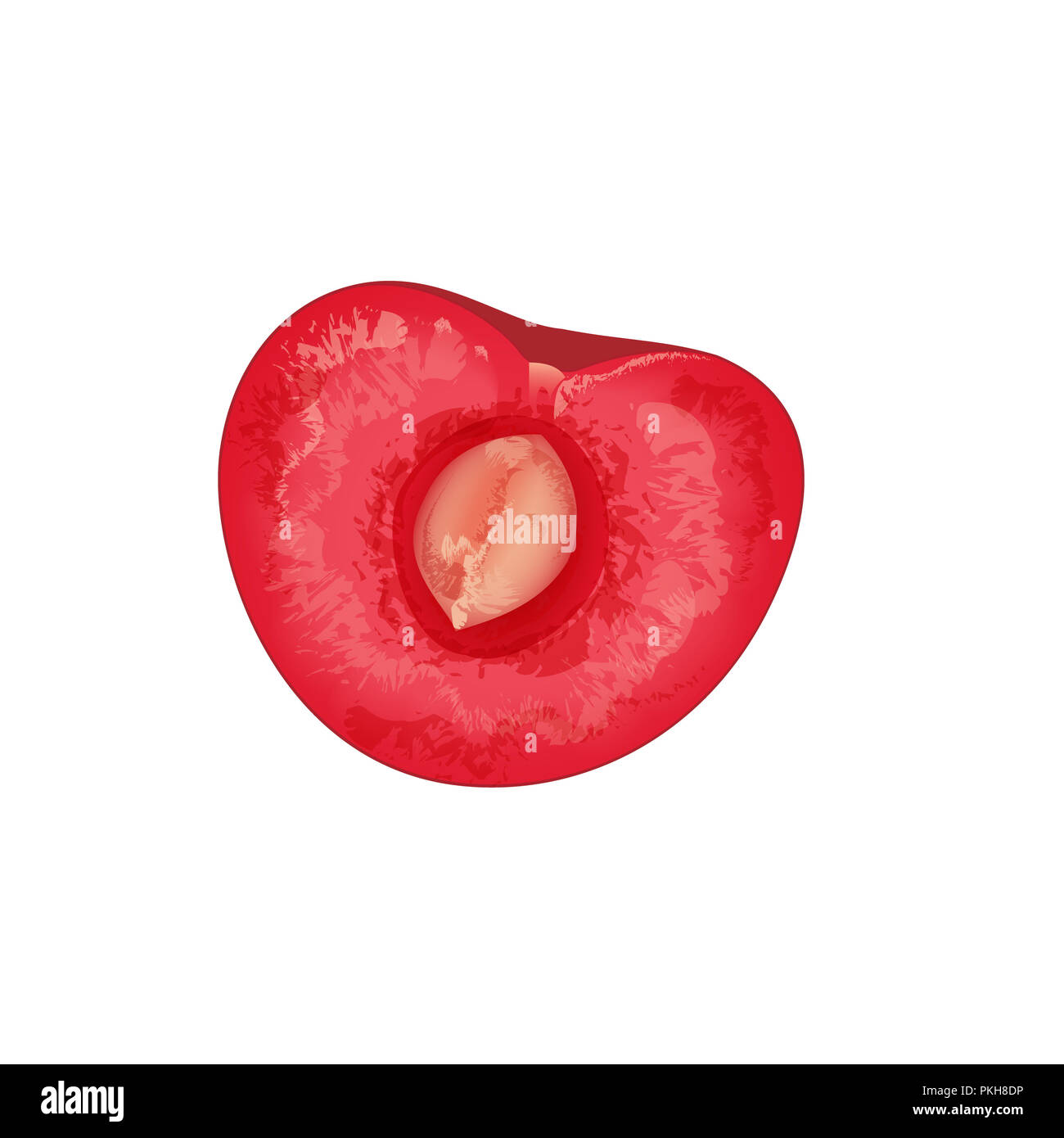 bone of a berry,juicy berry,Illustration Cherry Red berry Stock Photo ...