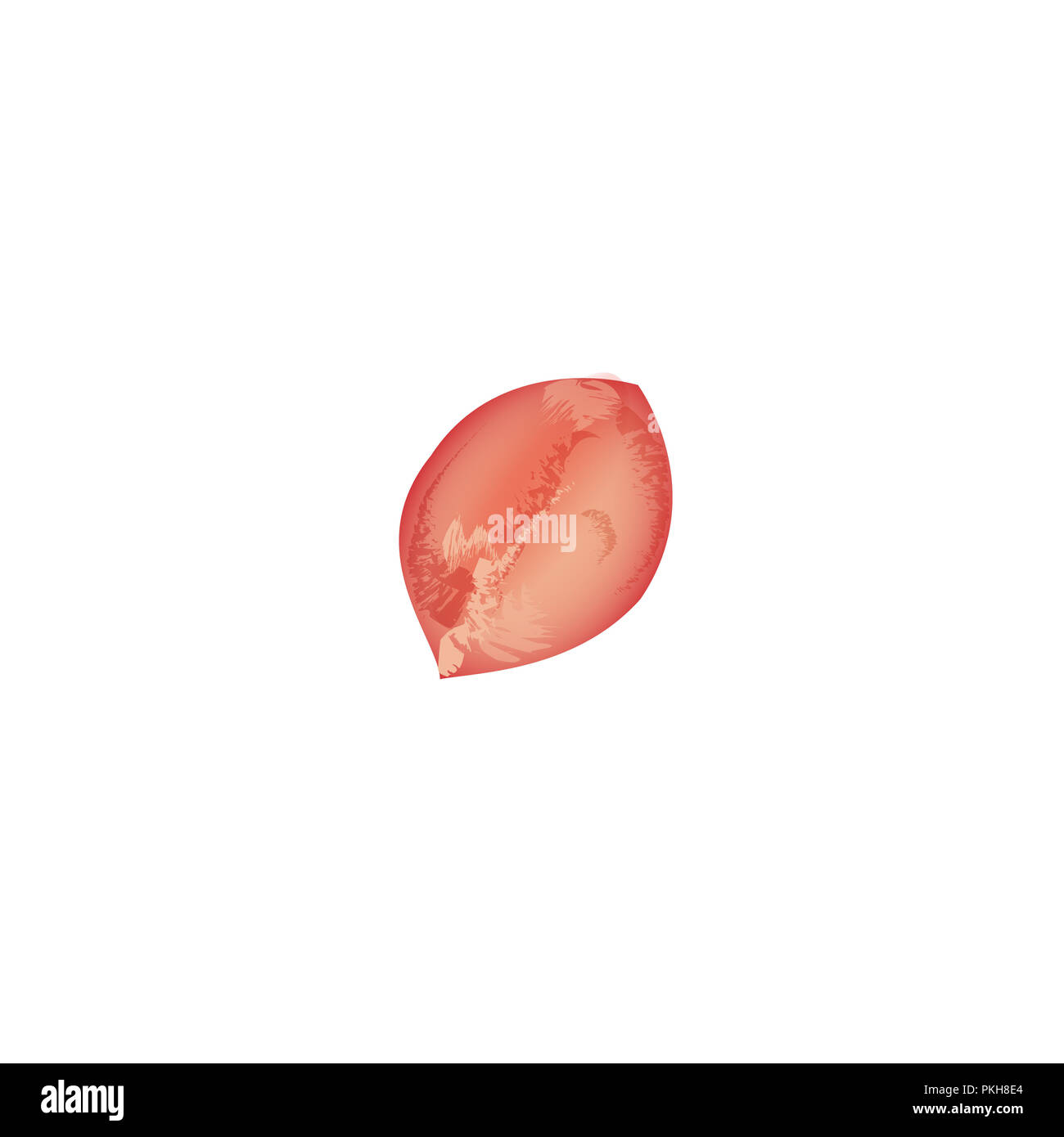 Cherrystone hi-res stock photography and images - Alamy