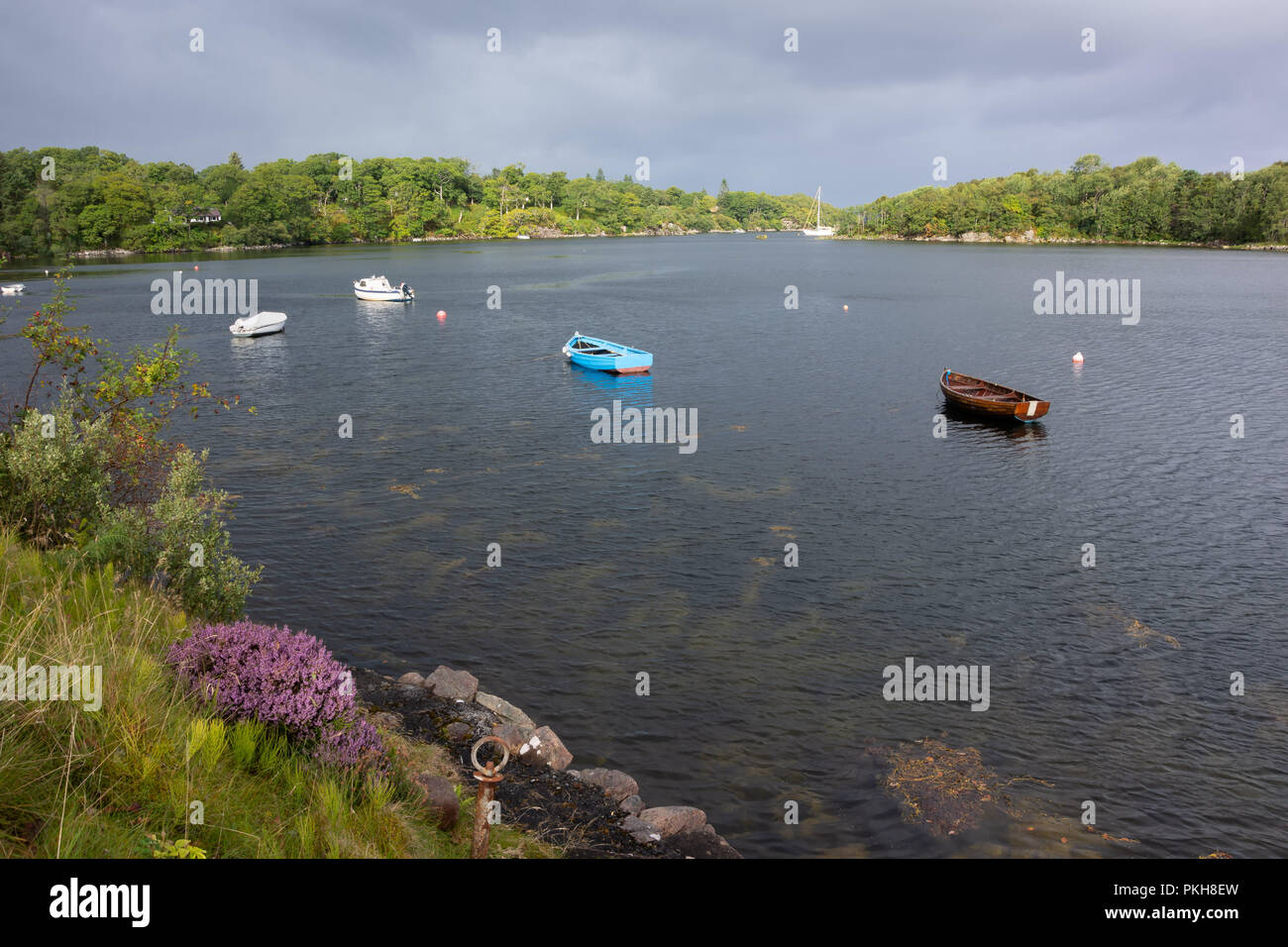 Badachro, Wester Ross, Scotland, United Kingdom Stock Photo - Alamy