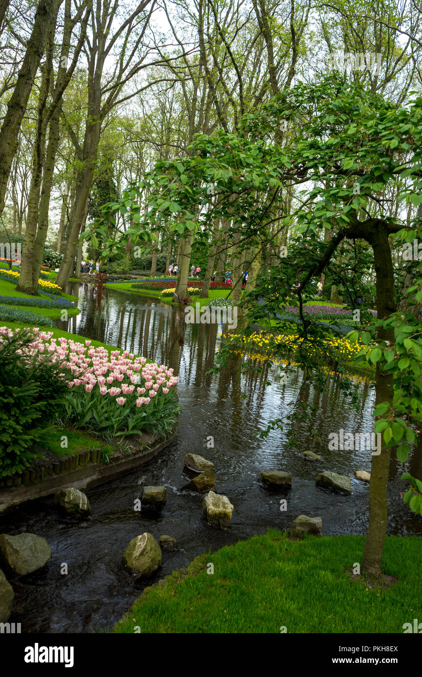 Netherlands,Lisse,Europe, a bench in a garden Stock Photo - Alamy