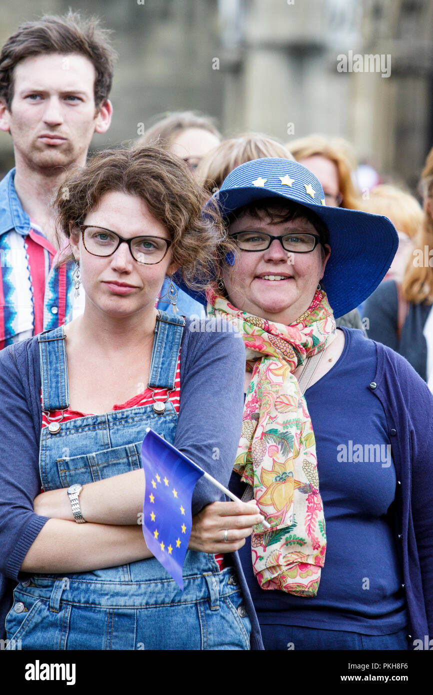 Pro brexit supporters 2016 hi-res stock photography and images - Alamy