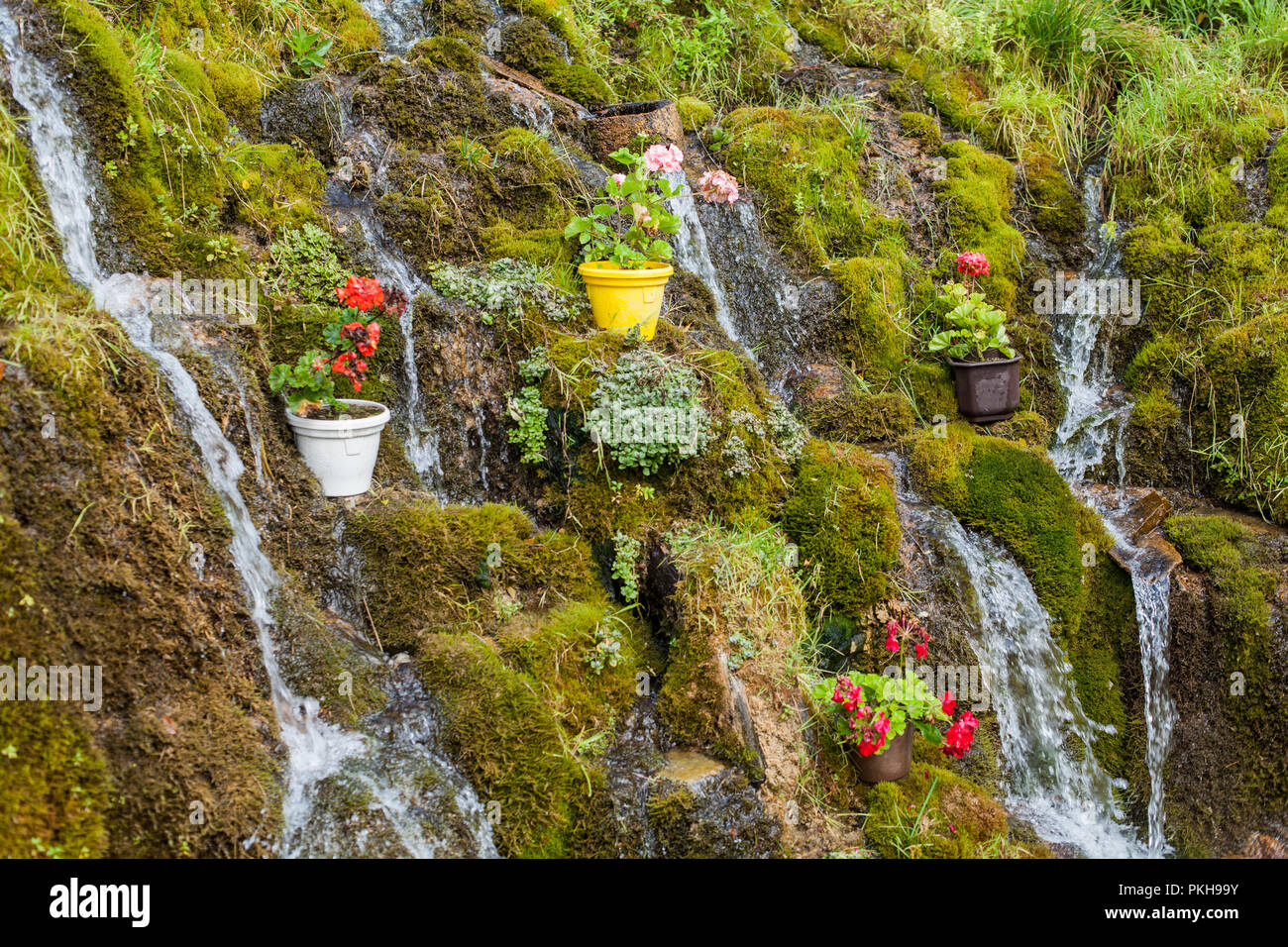 Pictures Of Waterfalls And Flowers