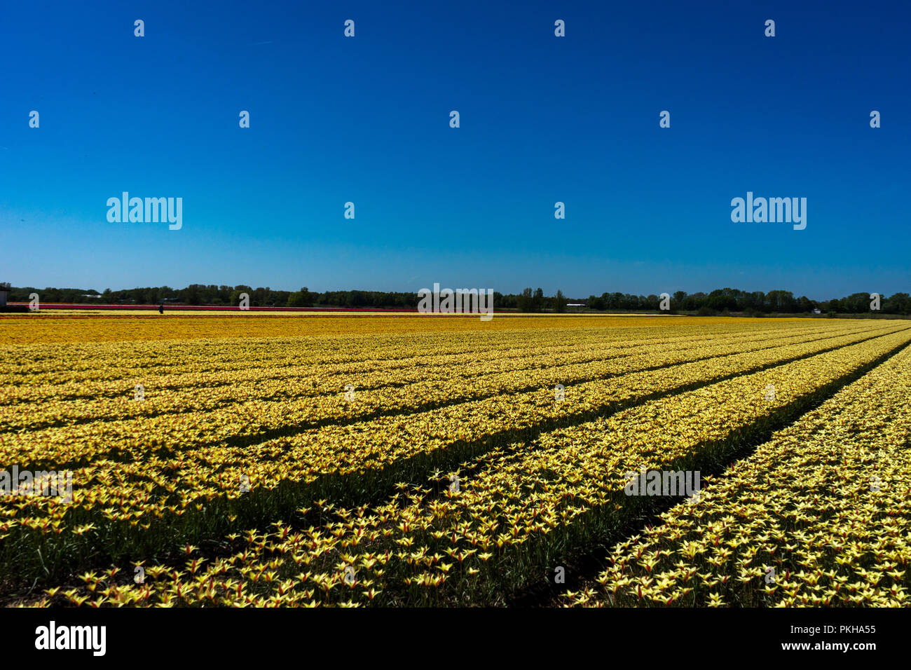 Large empty soil hi-res stock photography and images - Alamy