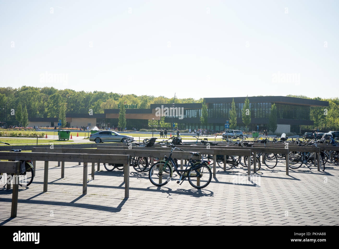 Lisse holland city hi-res stock photography and images - Alamy