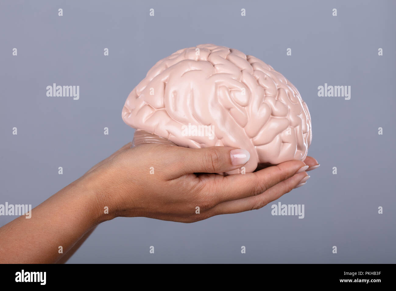 Hand holding human brain organ hi-res stock photography and images - Alamy