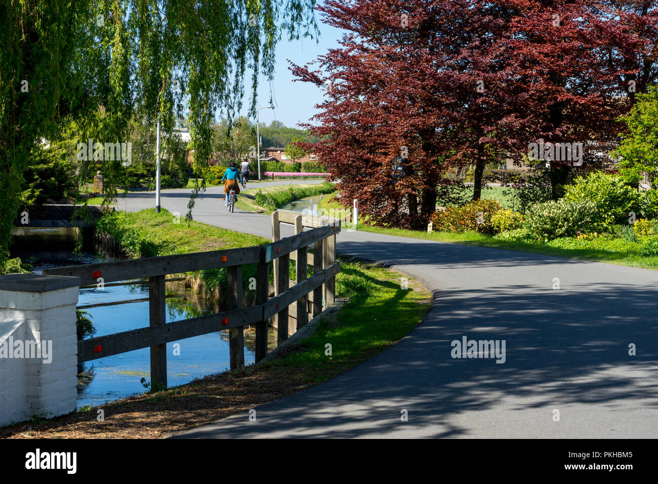 Lisse netherlands city hi-res stock photography and images - Alamy