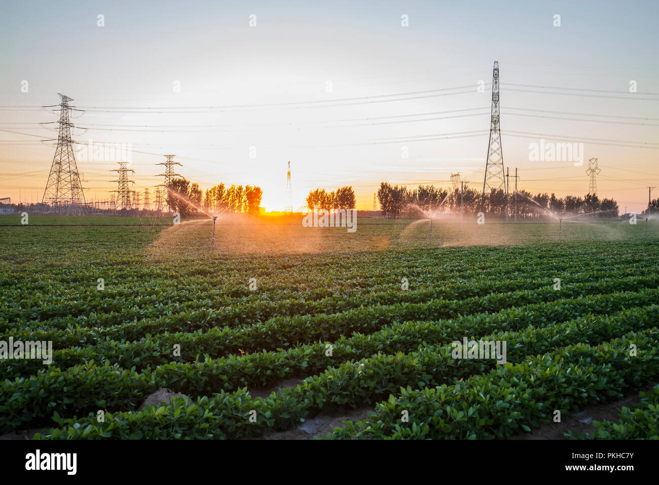 Water-saving devices to irrigate their fields Stock Photo - Alamy