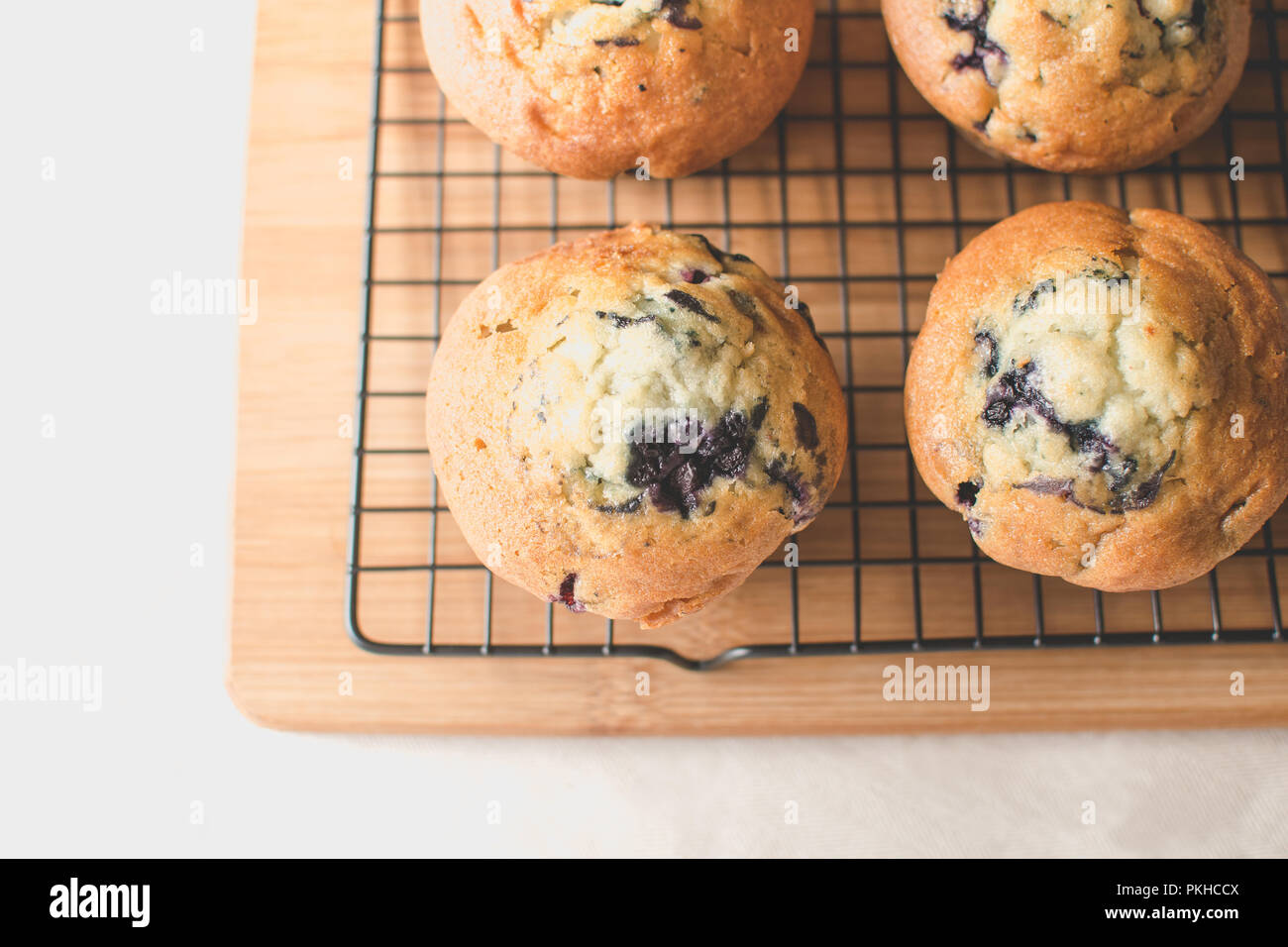 Baked blueberry muffins cooling Stock Photo - Alamy