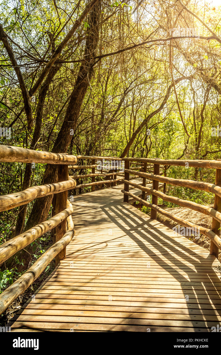 Within footpath hi-res stock photography and images - Alamy