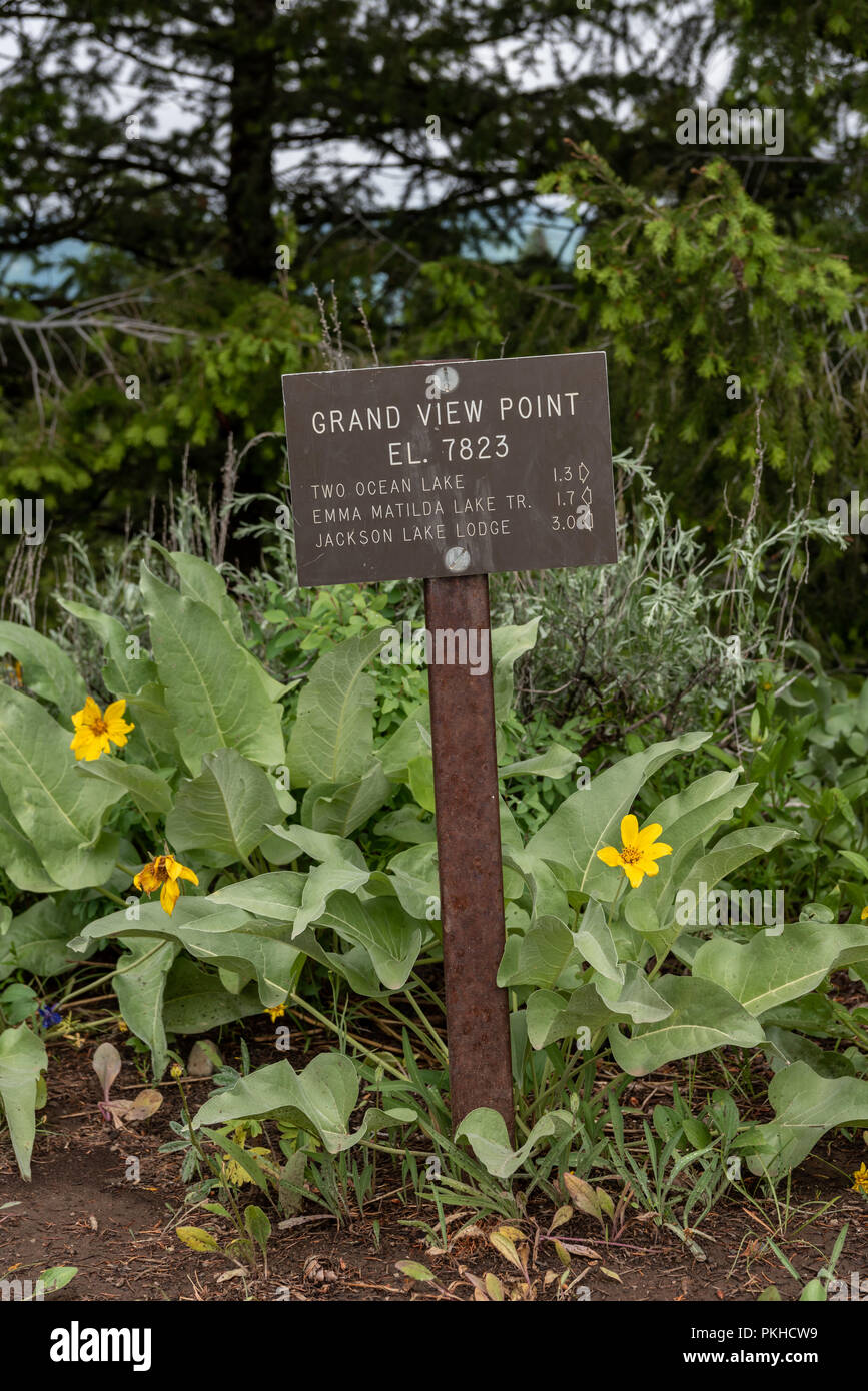 Grand View Point Sign at Trail Junction in Tetons Wilderness Stock ...