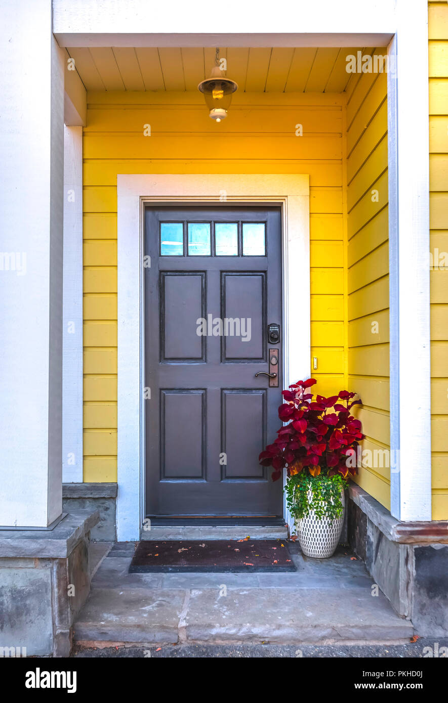 Yellow entry area with dark door and red flowers Stock Photo - Alamy
