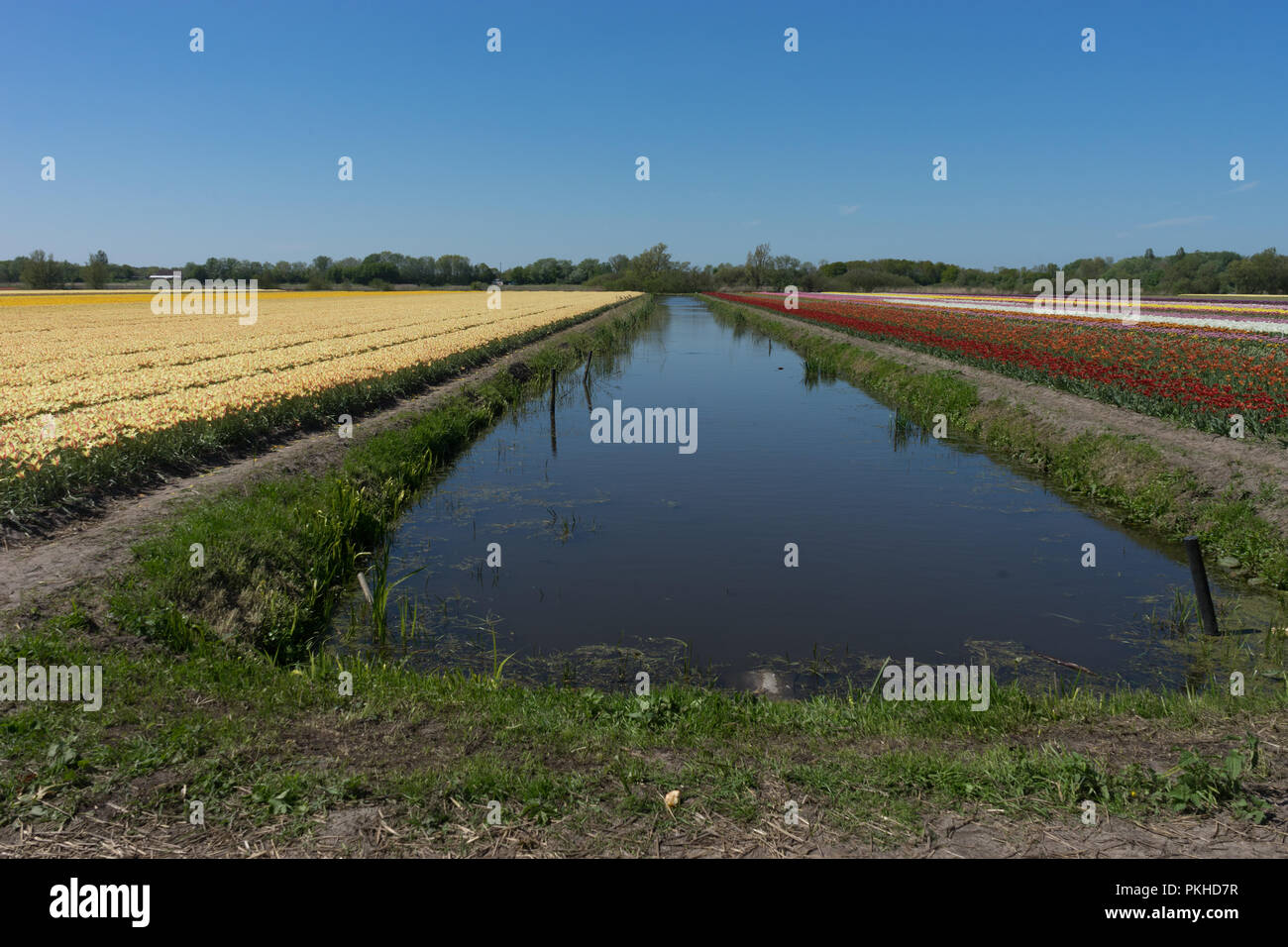 Netherlands,Lisse,Europe, a bridge over a body of water Stock Photo - Alamy
