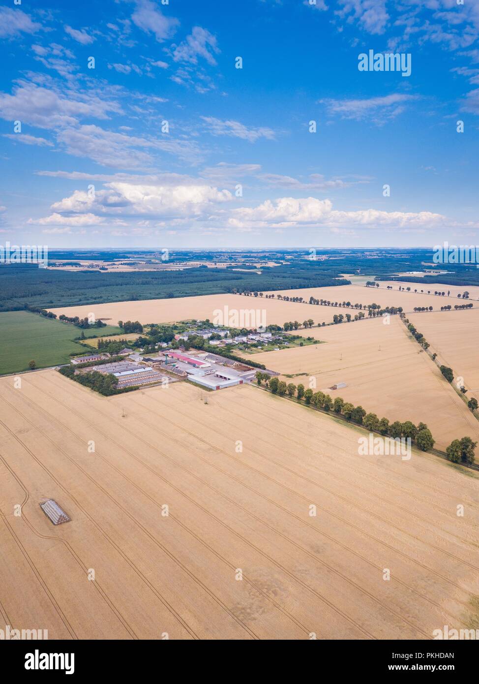 Beautiful summer fields from above. Drone photography of summer polish ...