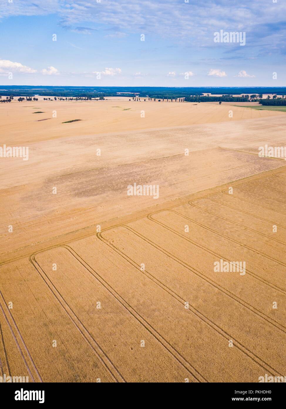 Beautiful summer fields from hi-res stock photography and images - Alamy