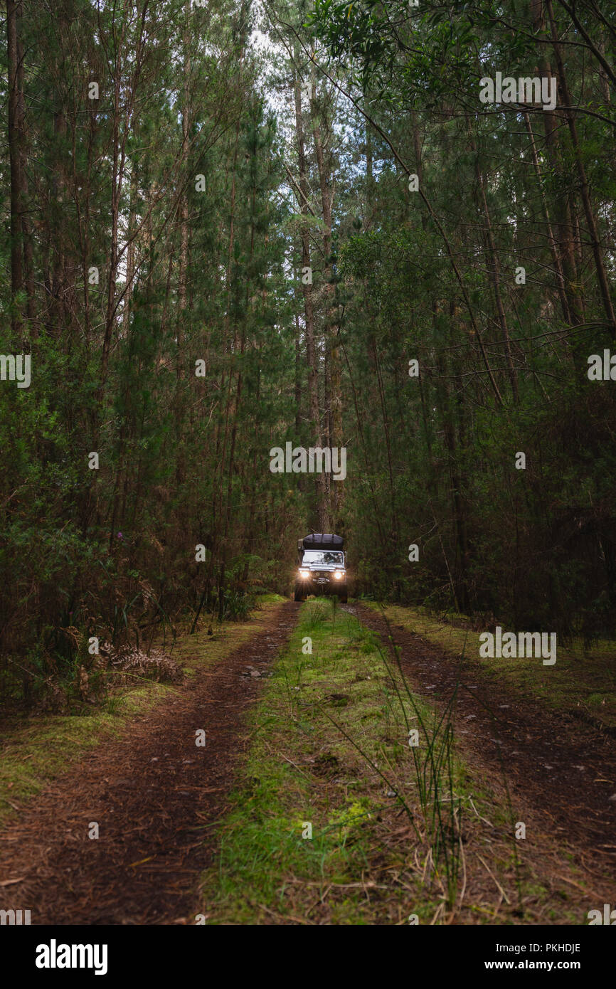 Secluded trail hi-res stock photography and images - Alamy