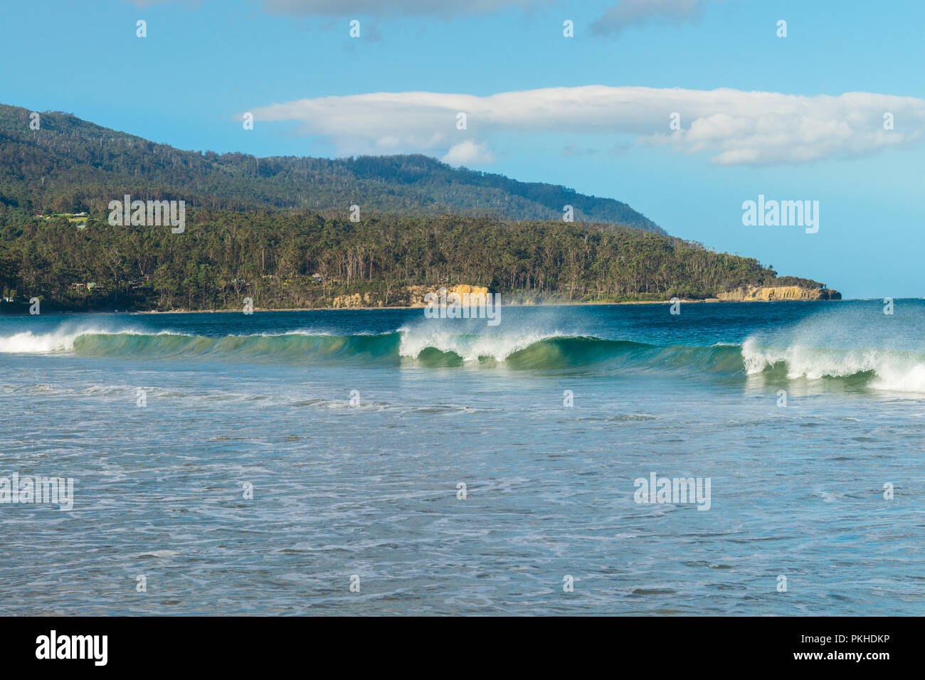surf beach, Tasmania Stock Photo - Alamy