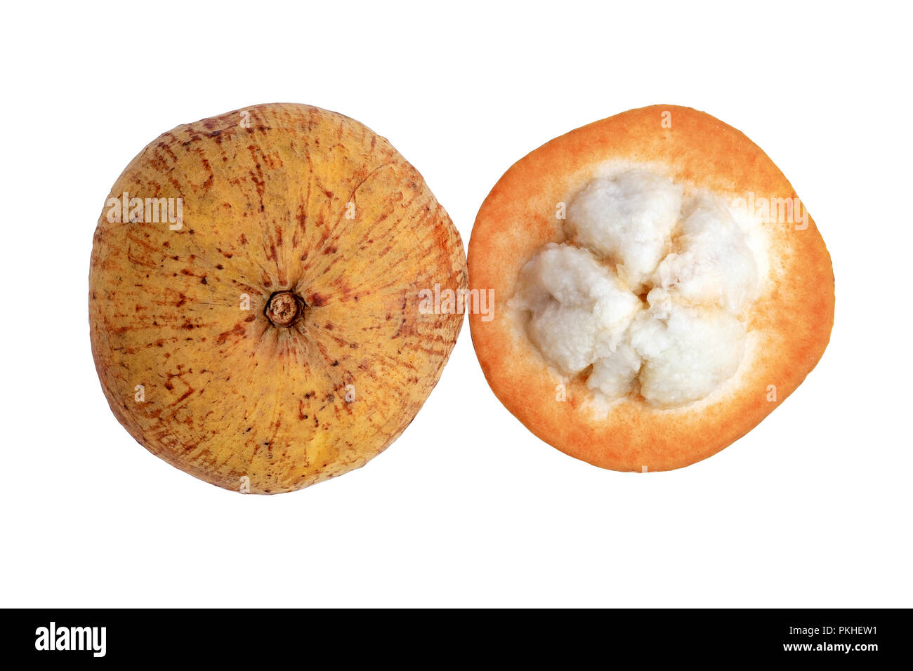 Sentol seed hi-res stock photography and images - Alamy