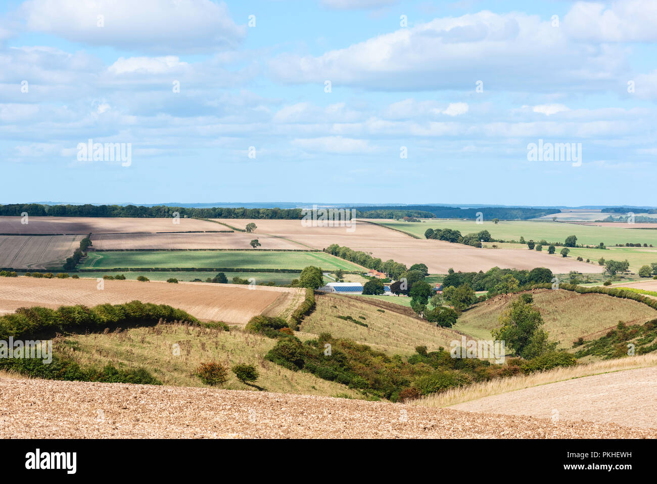 Yorkshire Wolds Autumn High Resolution Stock Photography and Images - Alamy