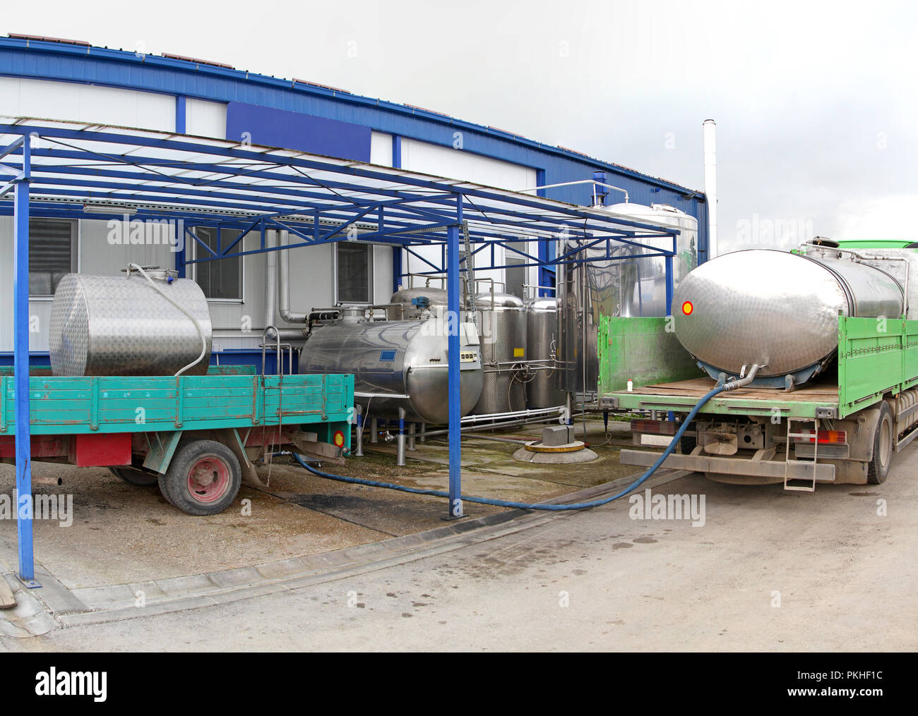 Unloading raw milk from trucks in dairy factory Stock Photo - Alamy