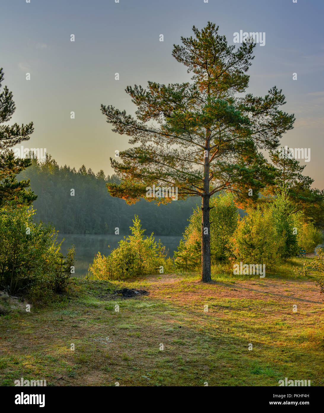 Early morning on the shore of a sandy quarry. Leningrad region ...