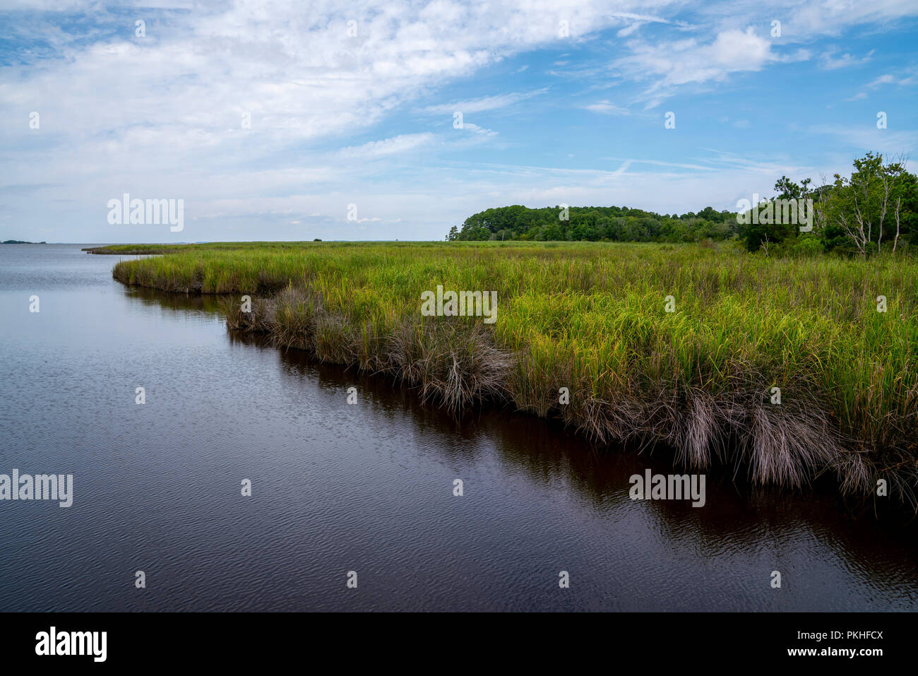 Currituck National Refuge in the Corolla section of the Outer Banks ...
