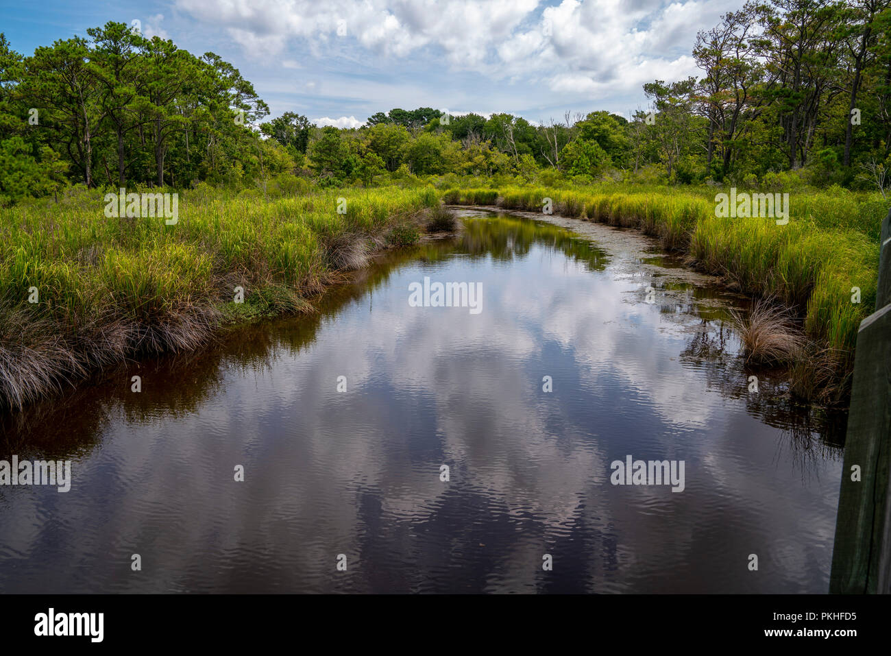 Currituck National Refuge in the Corolla section of the Outer Banks ...