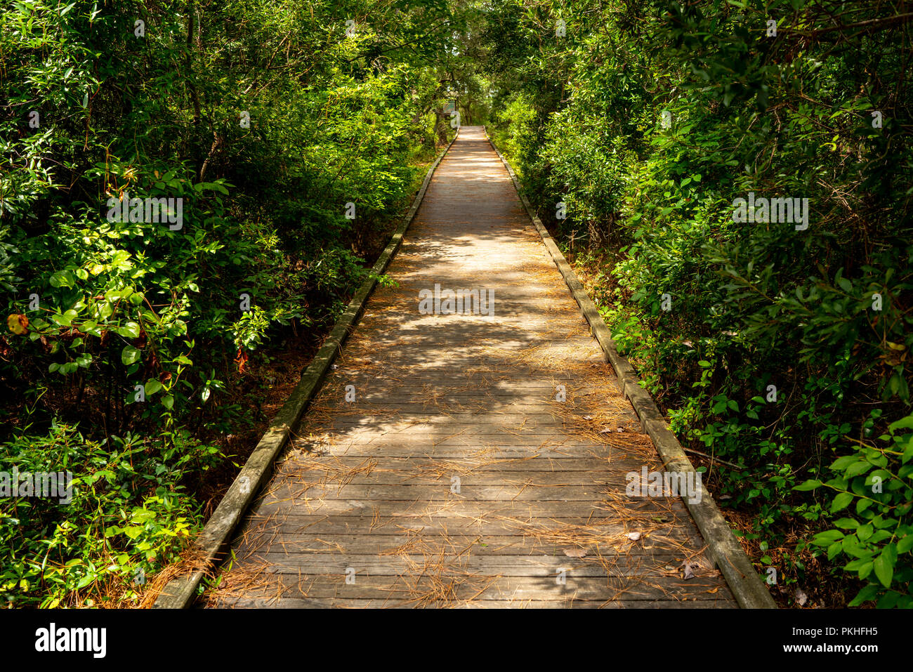 The Walkway in the Currituck National Refuge in the Corolla section of ...