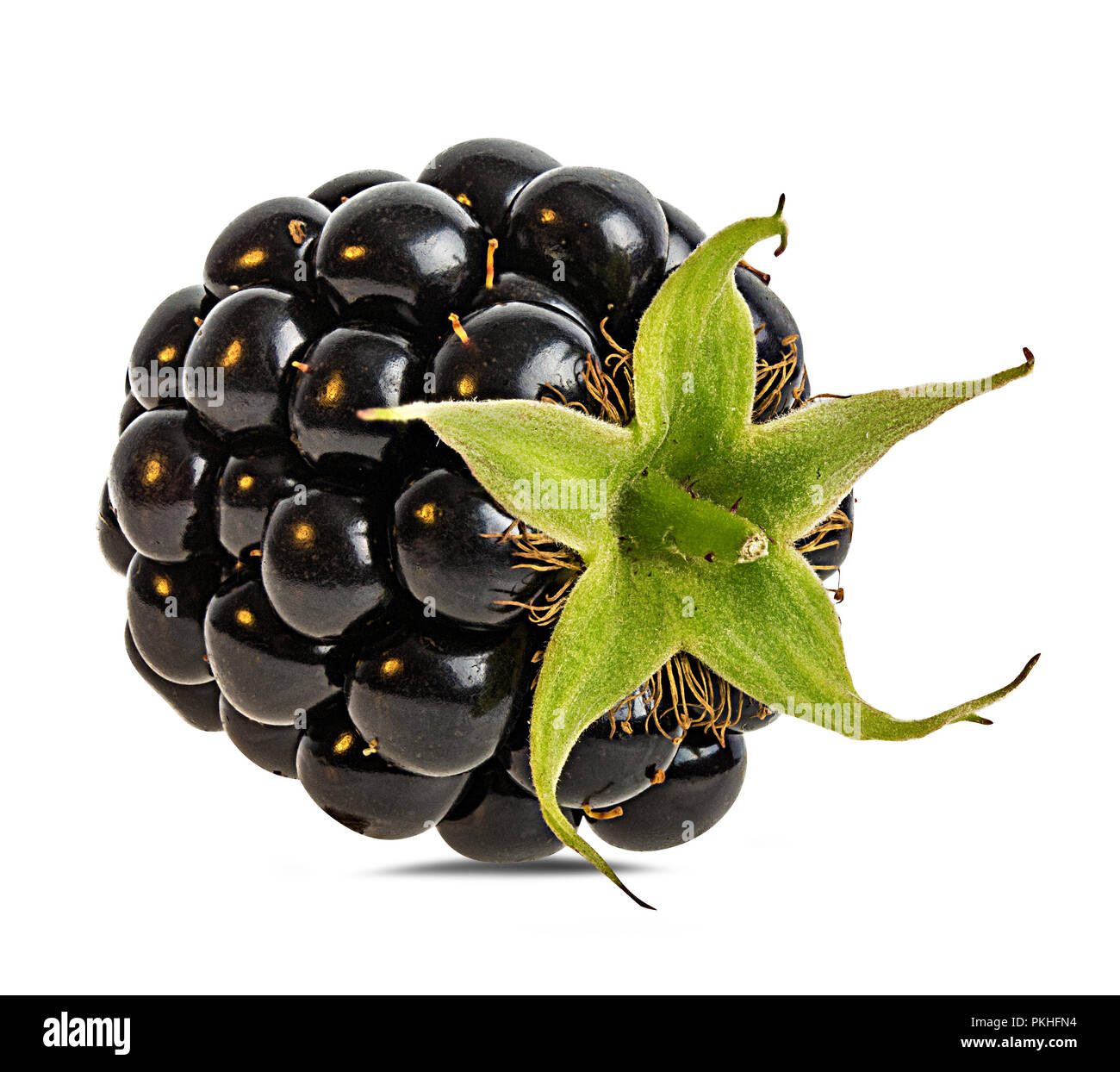 Blackberry isolated on white background clipping path Stock Photo - Alamy