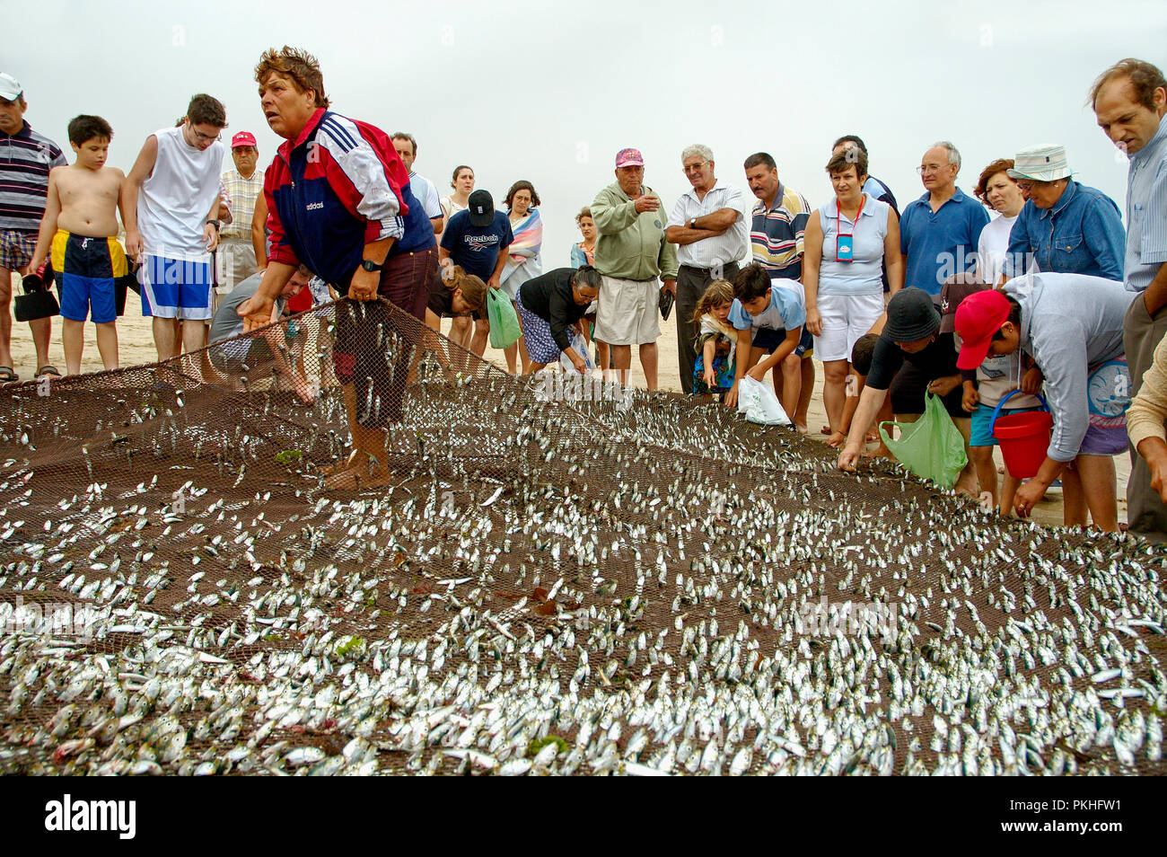 Fishermen choosing the fish on the beach. The traditional Xávega ...