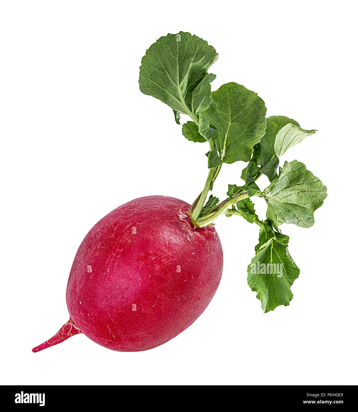 Radish radishes hi-res stock photography and images - Alamy