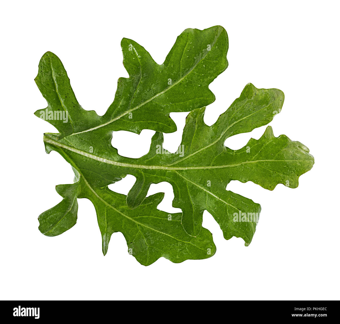 arugula isolated on white background Stock Photo - Alamy