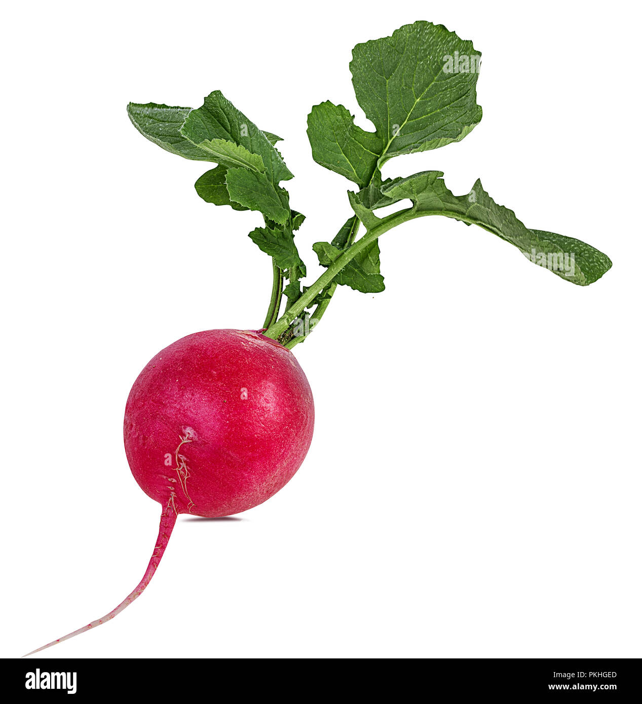 Fresh radishes isolated on white Stock Photo - Alamy