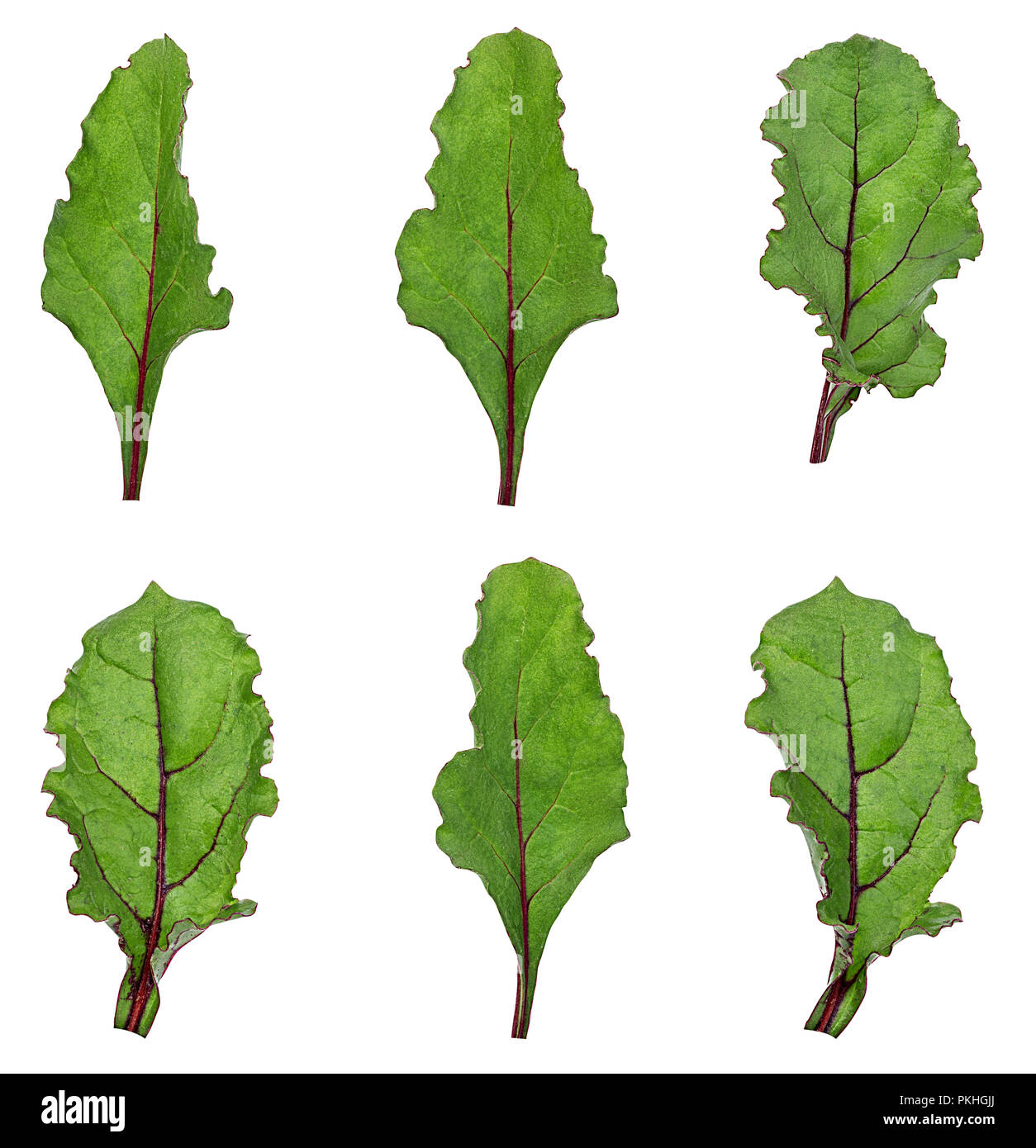 Beetroot leaves isolated on white Stock Photo - Alamy