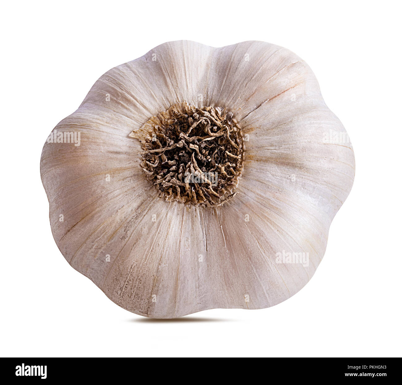 garlic isolated on white background Stock Photo - Alamy