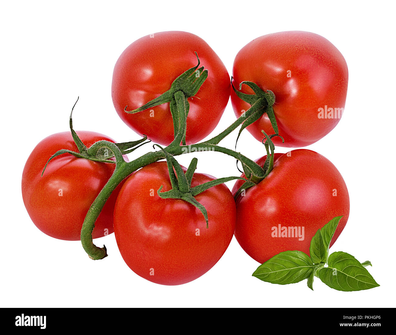 tomato and basil isolated on white background Stock Photo - Alamy