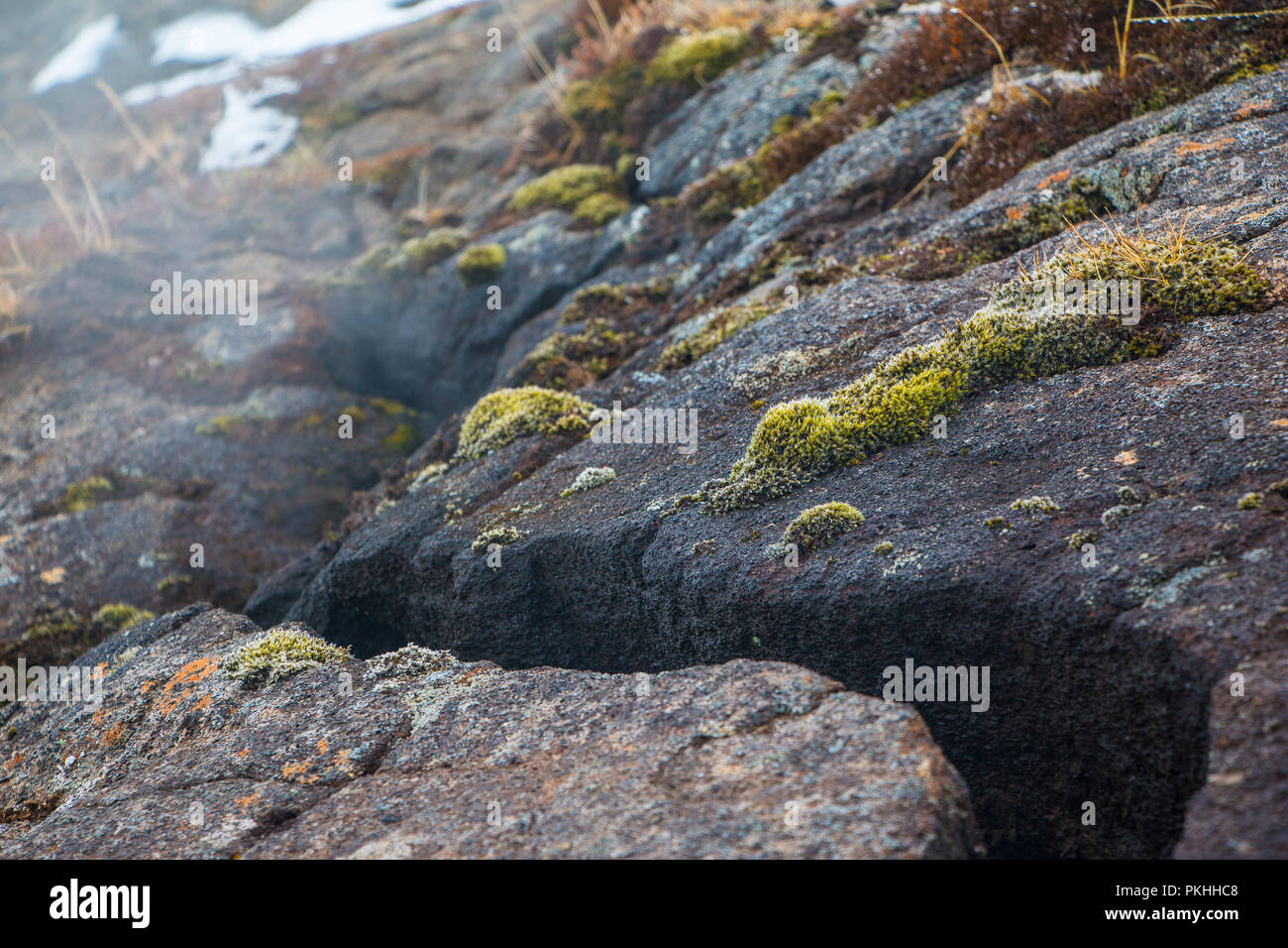 Steam coming out of a crack Stock Photo - Alamy